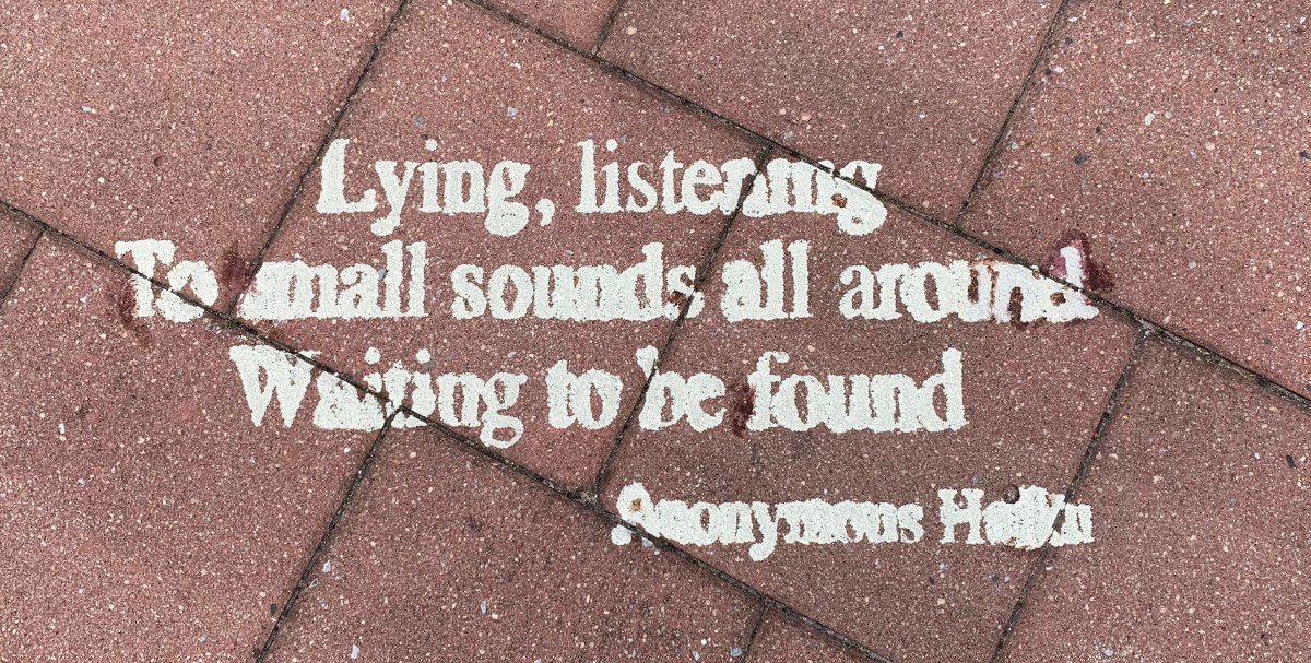Public art project to bring haiku poetry to downtown Rock Hill – The ...